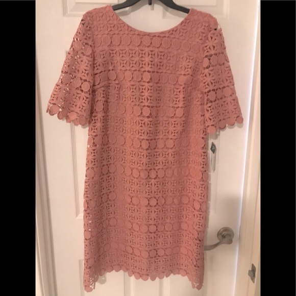 Studio One | Dresses | Nwt Studio One Lace Dress Size 2 Color Is Bridal ...